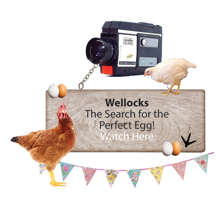 Wellocks - The Search for the Perfect Egg! Video | Cacklebean Eggs